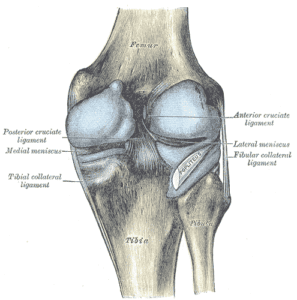 ACL Reconstruction Surgery Complete Guide│Injury To Recovery